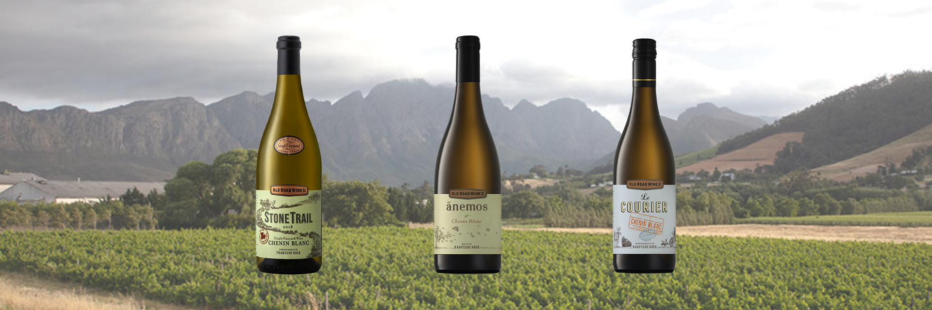 Chenin Blancs